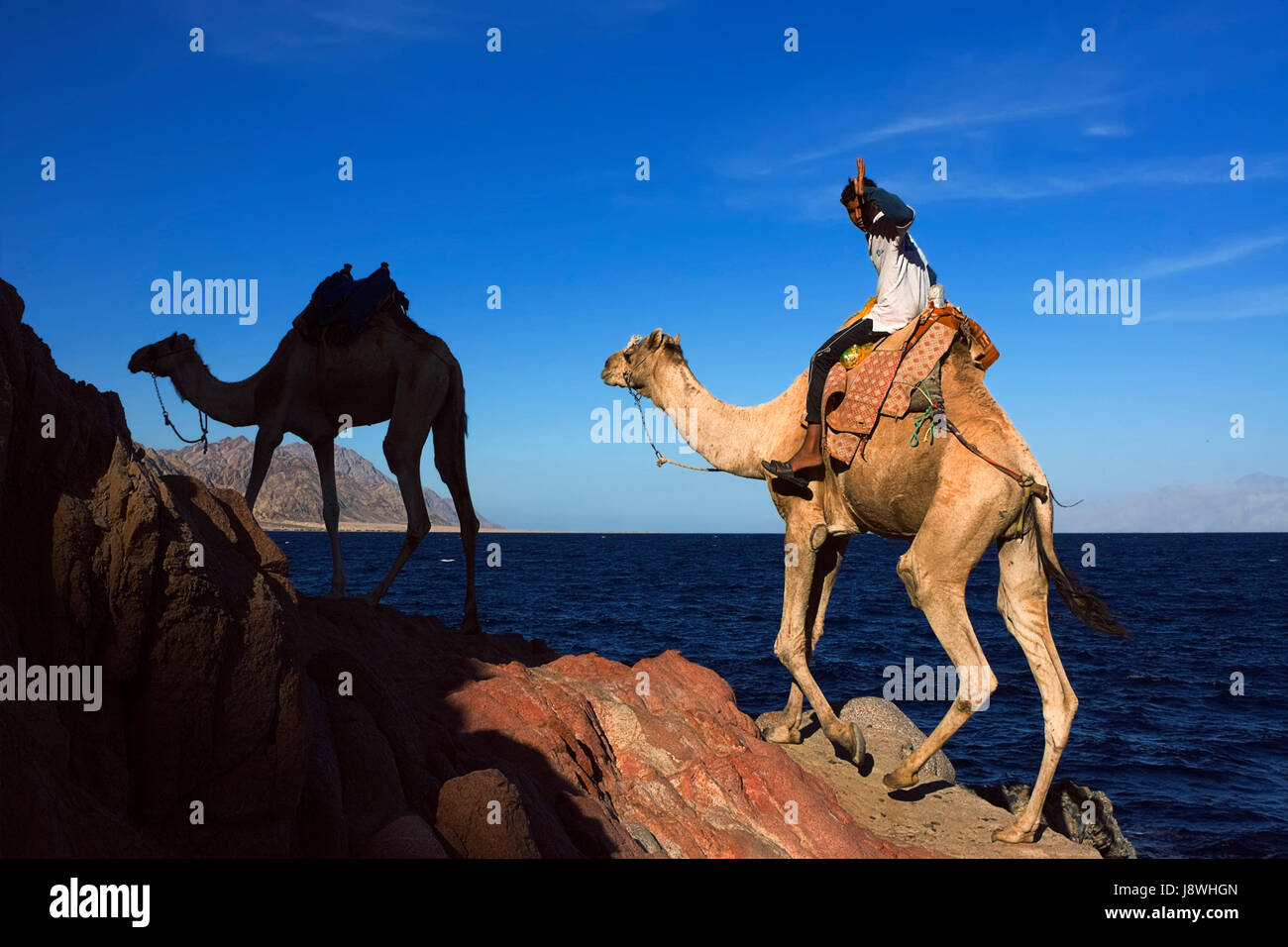 Winke winke -Fotos und -Bildmaterial in hoher Auflösung – Alamy