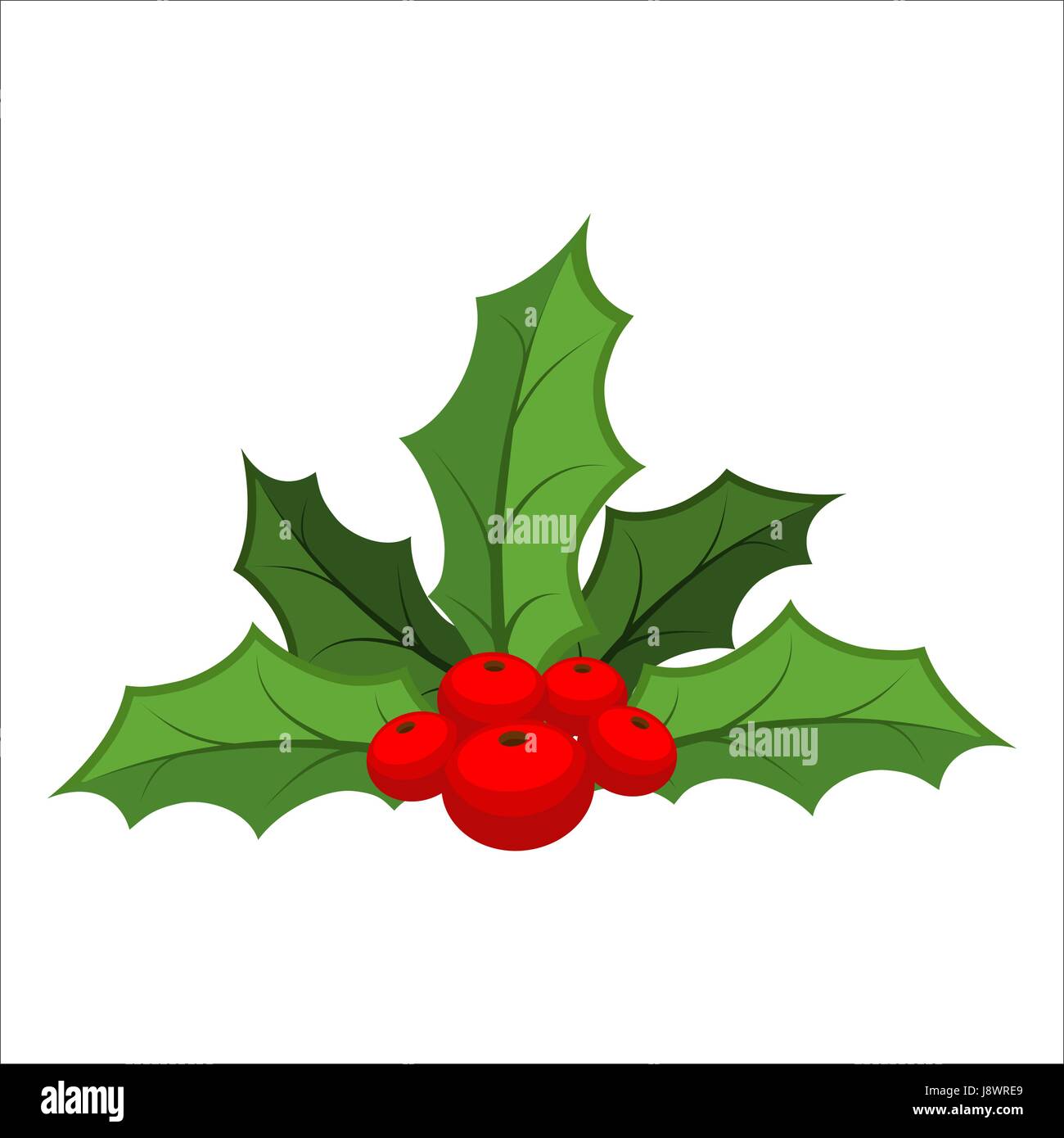 Mistel isoliert. Traditionelle Weihnachts-Pflanze. Urlaub rote Beere ...