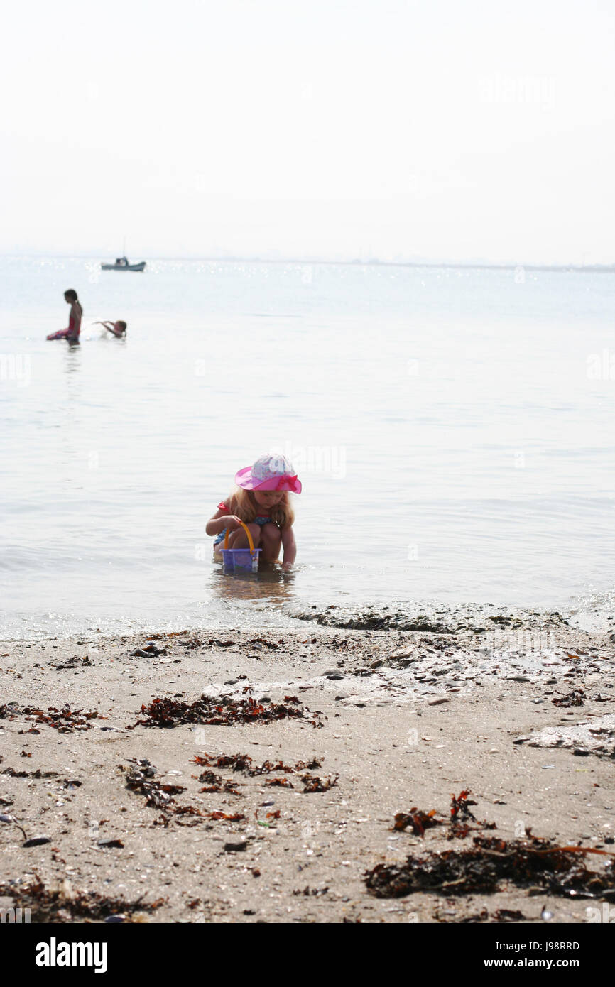 Collecting shells -Fotos und -Bildmaterial in hoher Auflösung – Alamy