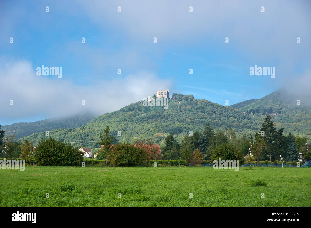 Hambach pfalz -Fotos und -Bildmaterial in hoher Auflösung – Alamy