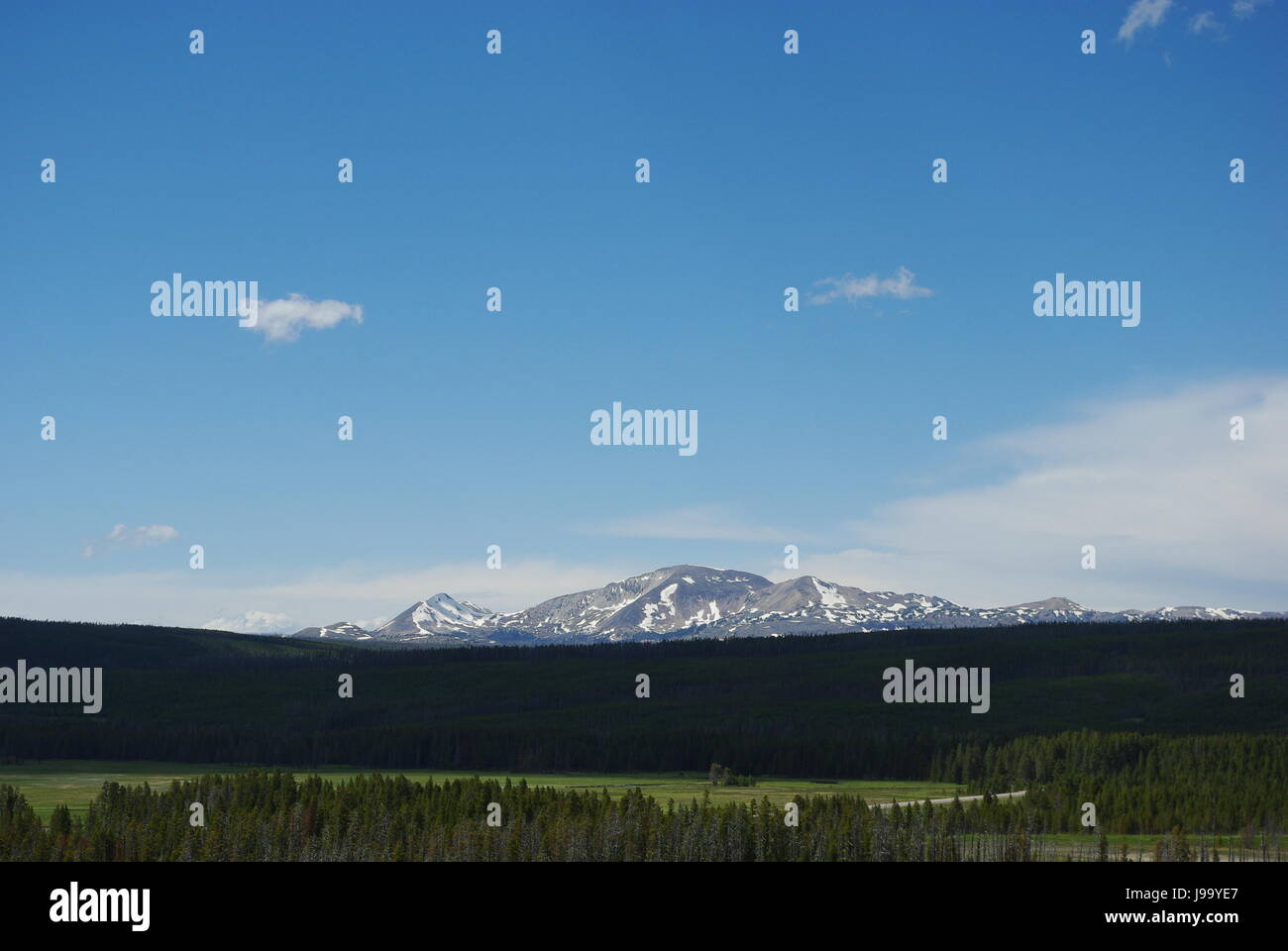 Baum, Nadelbaum, Nadelwald, Hochgebirge, Gebirge, Wald, blau, Baum ...