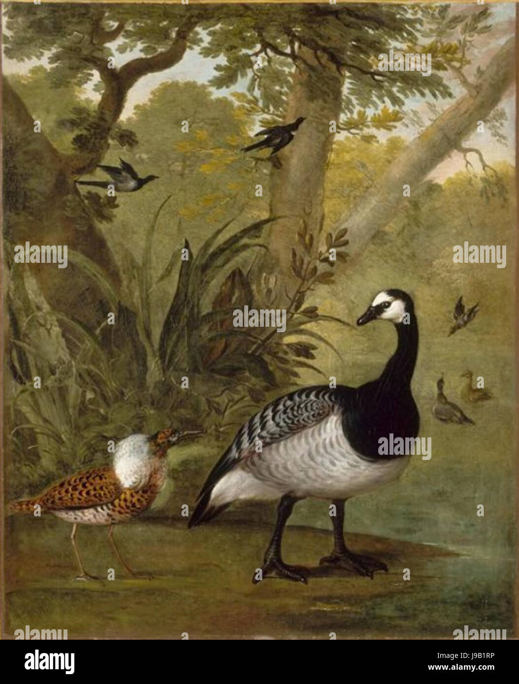 Nicasius bernaerts -Fotos und -Bildmaterial in hoher Auflösung – Alamy