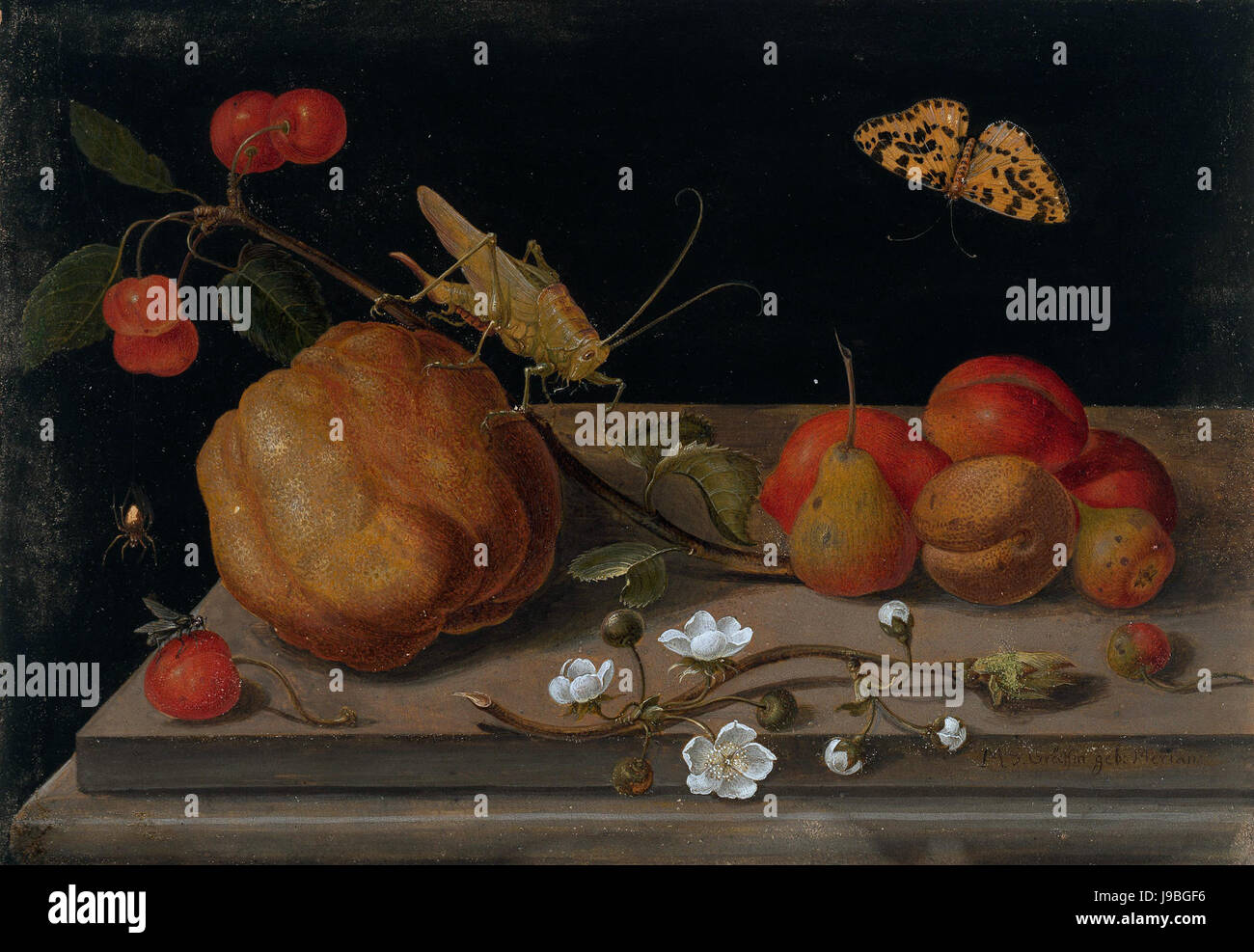 Maria sibylla merian -Fotos und -Bildmaterial in hoher Auflösung – Alamy