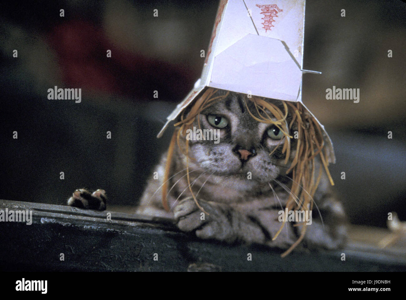 Stuart little 2 2002 -Fotos und -Bildmaterial in hoher Auflösung – Alamy