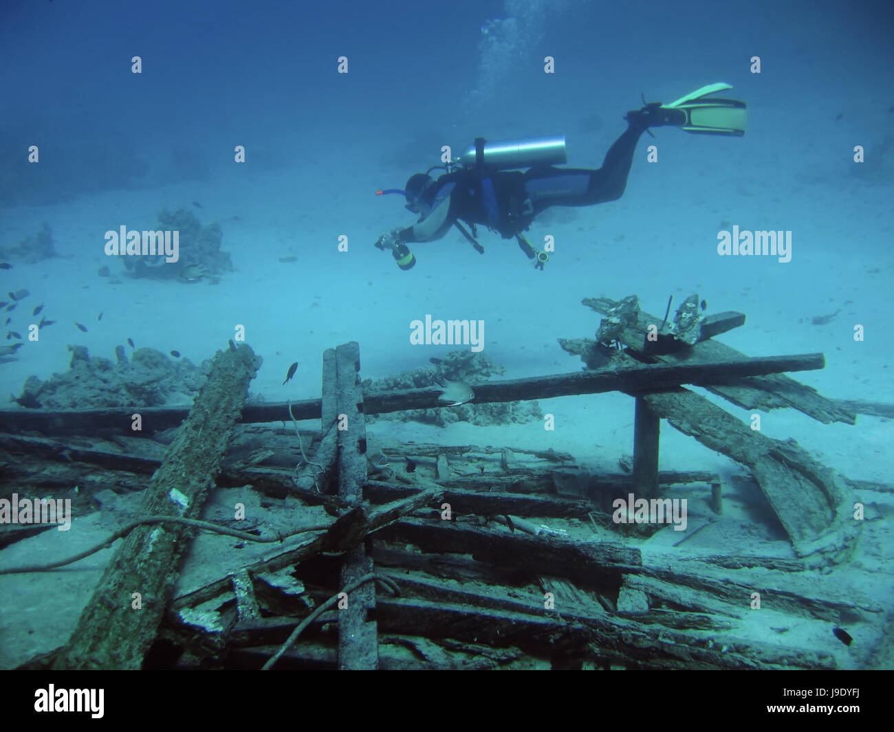 Diver tank wreck red sea -Fotos und -Bildmaterial in hoher Auflösung ...