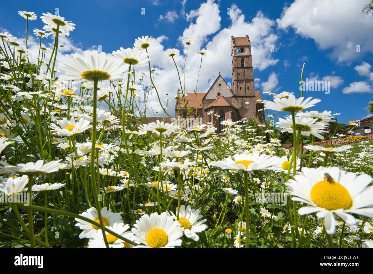 Sehenswert klosterkirche -Fotos und -Bildmaterial in hoher Auflösung – Alamy