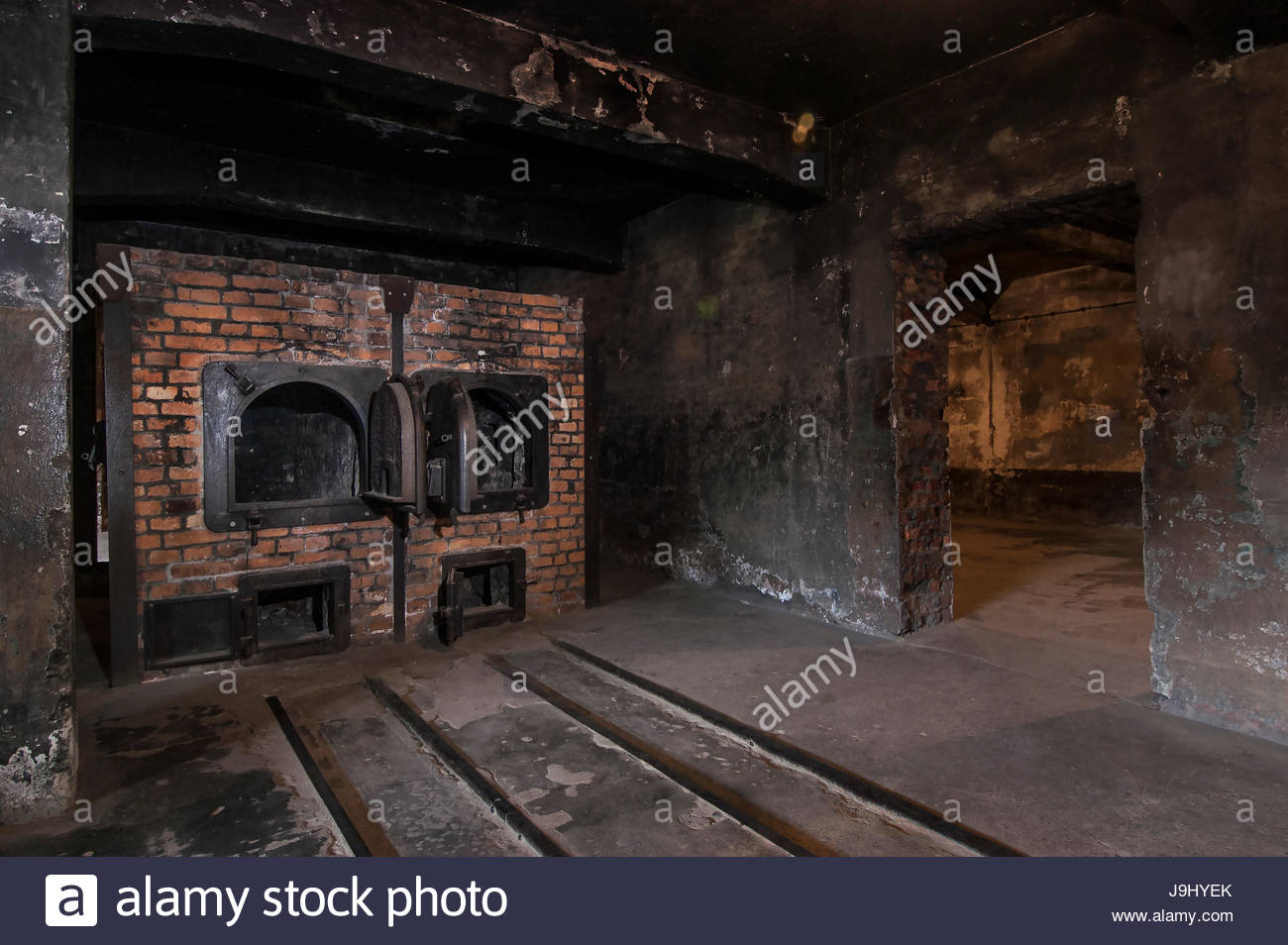 Auschwitz Bodies Stockfotos & Auschwitz Bodies Bilder - Alamy