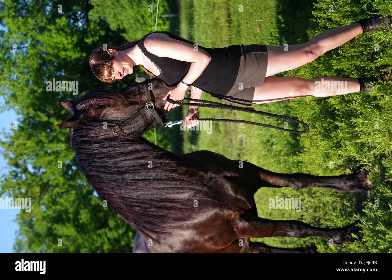 Hengste in freiheit -Fotos und -Bildmaterial in hoher Auflösung – Alamy