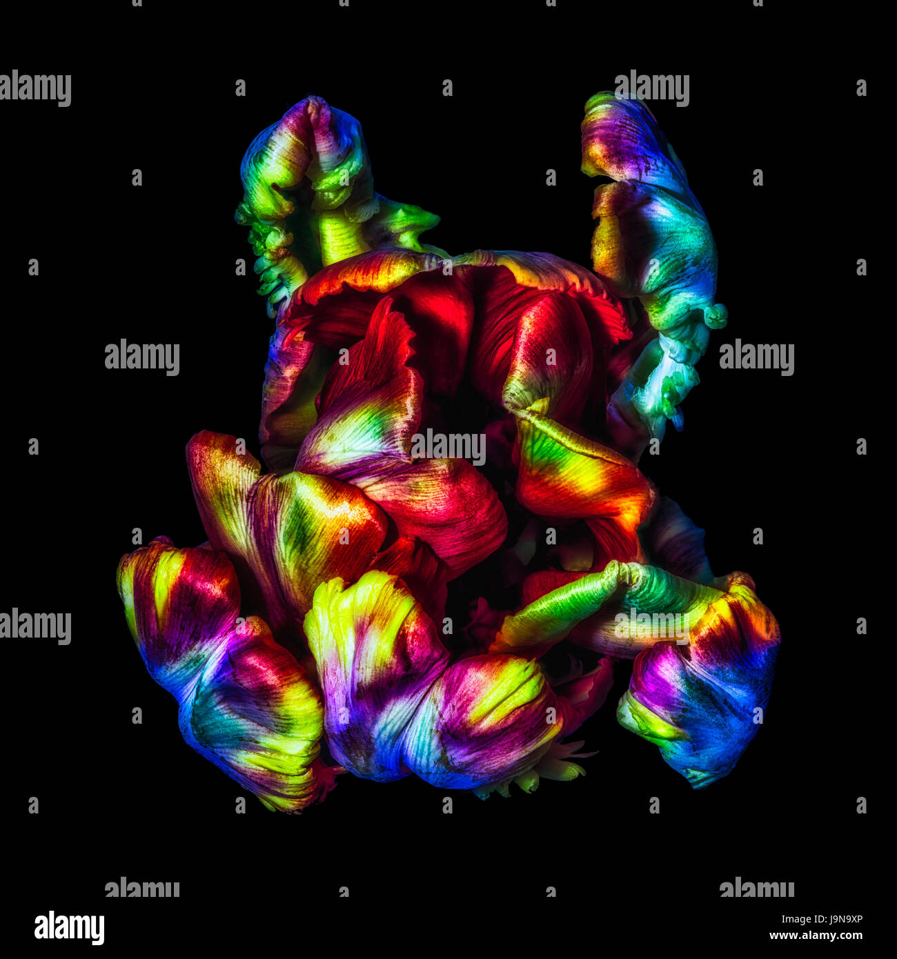 Fantastischer Realismus Stil Stockfotos und -bilder Kaufen - Alamy