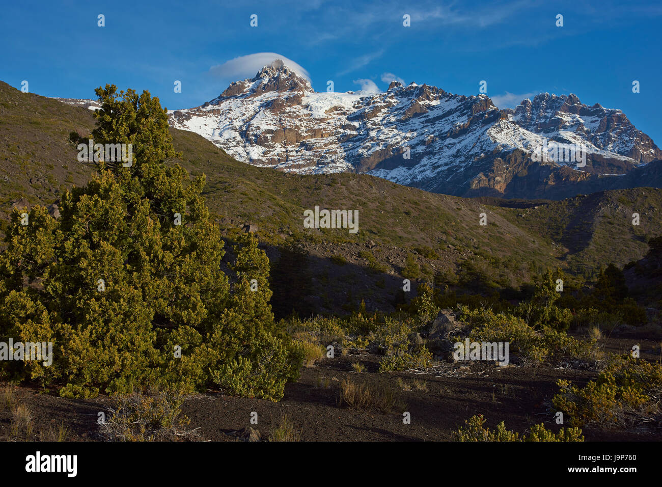 Sierra velluda -Fotos und -Bildmaterial in hoher Auflösung – Alamy