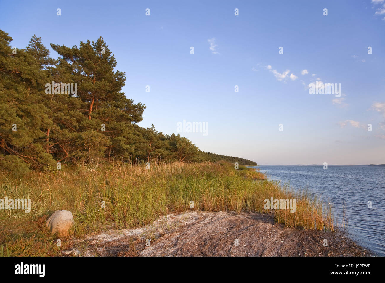 Boddenkuste mit breege juliusruh -Fotos und -Bildmaterial in hoher ...