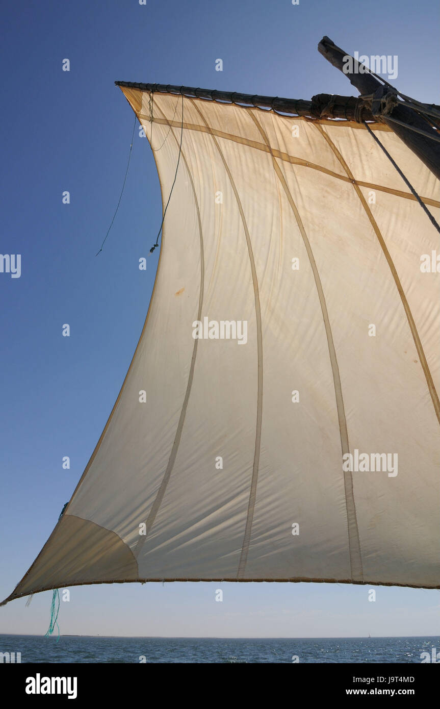 Banc di arguin nationalpark -Fotos und -Bildmaterial in hoher Auflösung ...