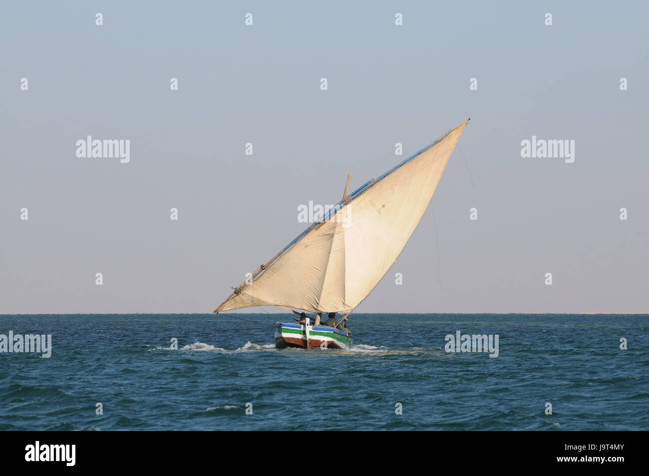 Banc di arguin nationalpark -Fotos und -Bildmaterial in hoher Auflösung ...