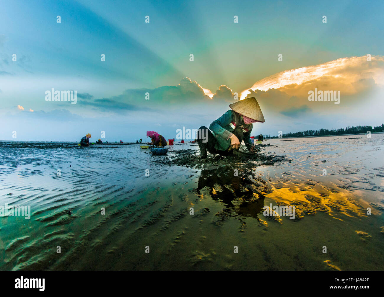 Arbeiten am strand -Fotos und -Bildmaterial in hoher Auflösung – Alamy