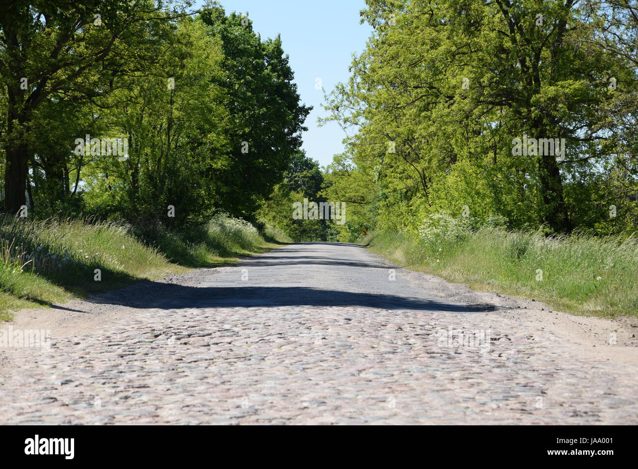 Pflaster stein -Fotos und -Bildmaterial in hoher Auflösung – Alamy