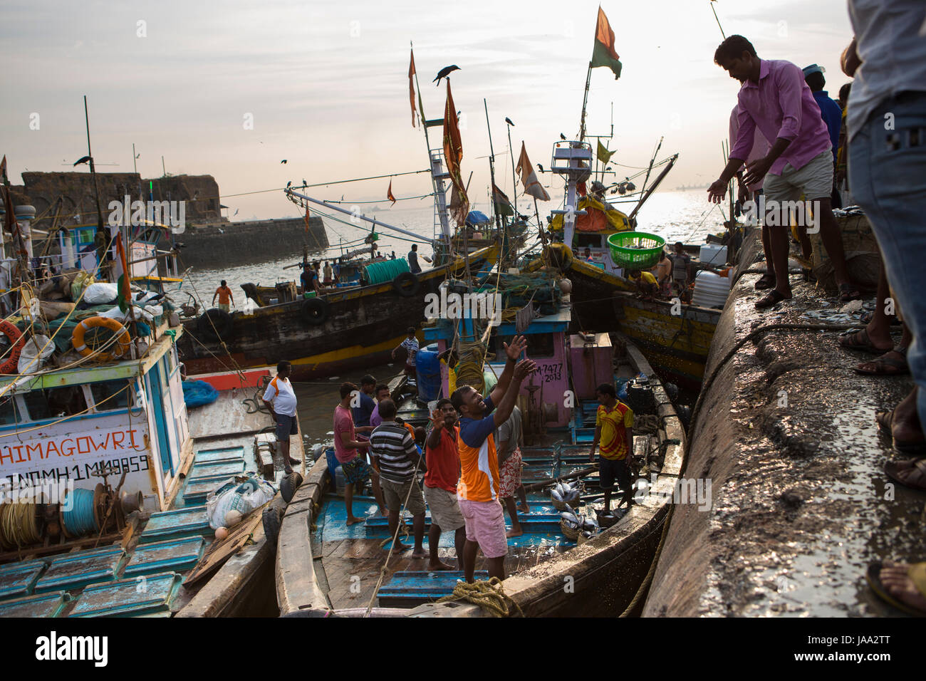 Indianer fangen fische -Fotos und -Bildmaterial in hoher Auflösung – Alamy