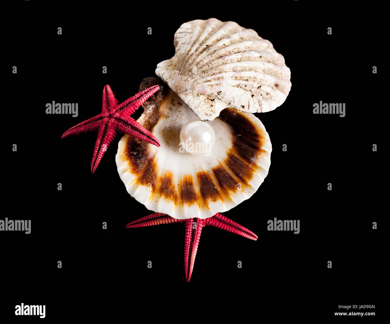 Mussel silk -Fotos und -Bildmaterial in hoher Auflösung – Alamy
