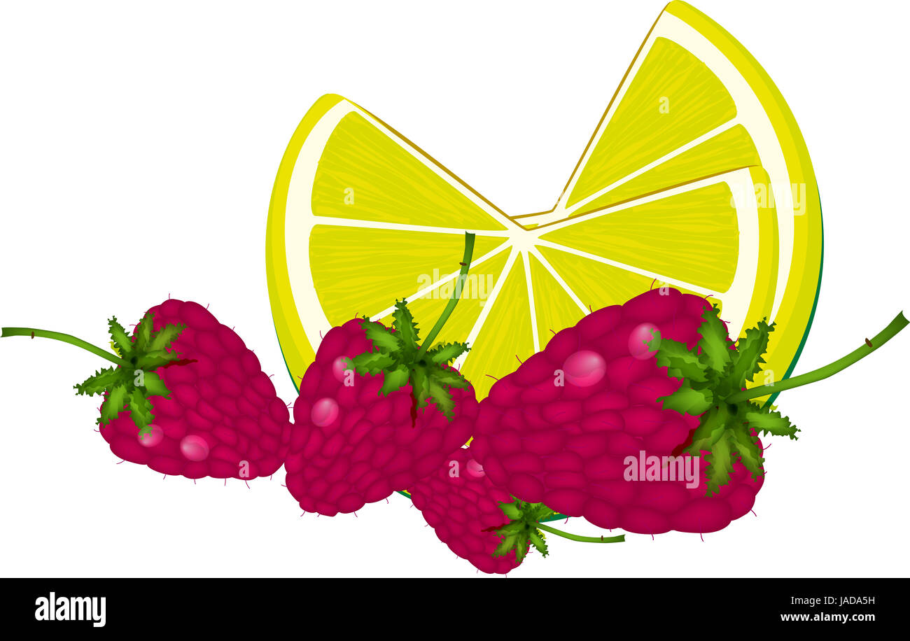 Himbeer clipart Stockfotos und -bilder Kaufen - Alamy