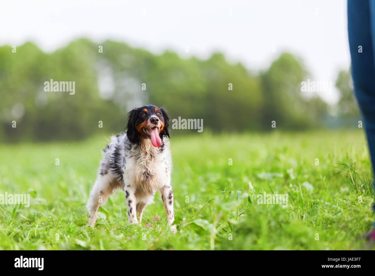 Eine person suchen -Fotos und -Bildmaterial in hoher Auflösung – Alamy