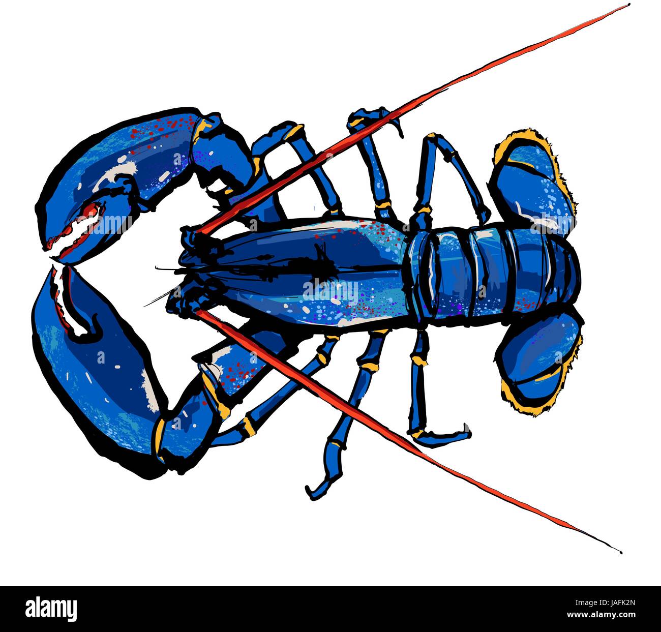 Hummer, die isoliert auf einem weißen Hintergrund - Vektor-illustration ...