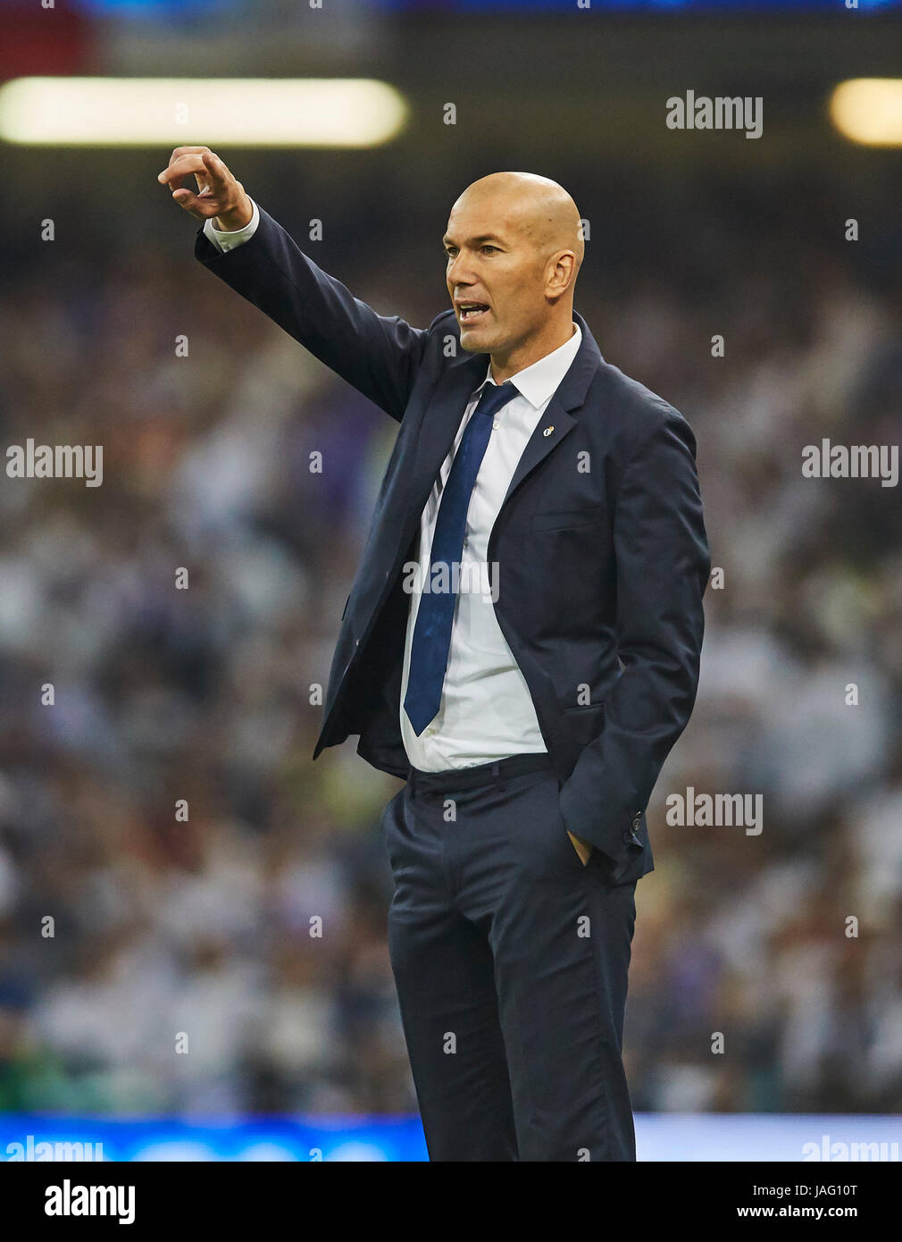 Trainer echt -Fotos und -Bildmaterial in hoher Auflösung – Alamy