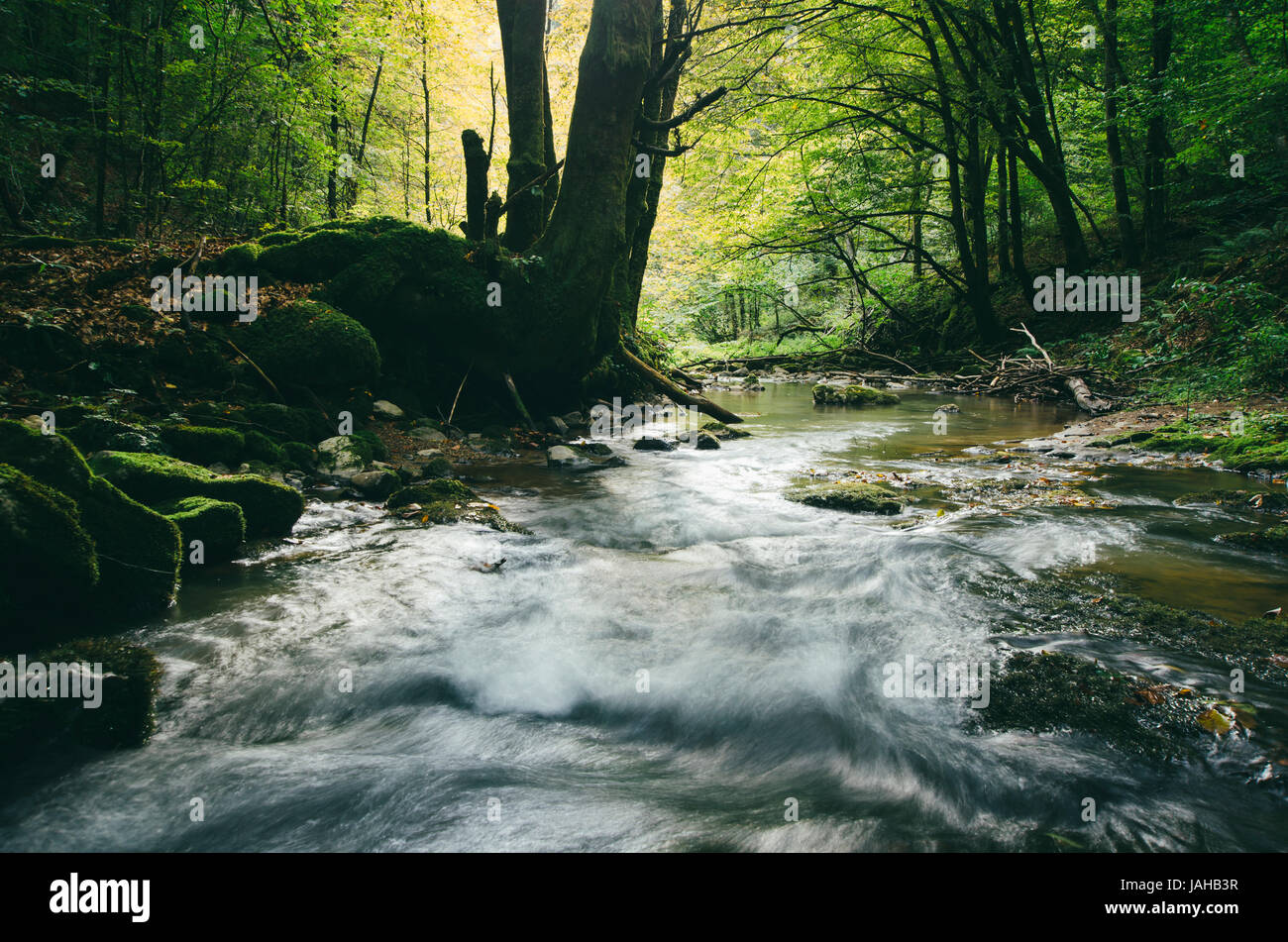 Natürliches flusstal -Fotos und -Bildmaterial in hoher Auflösung – Alamy