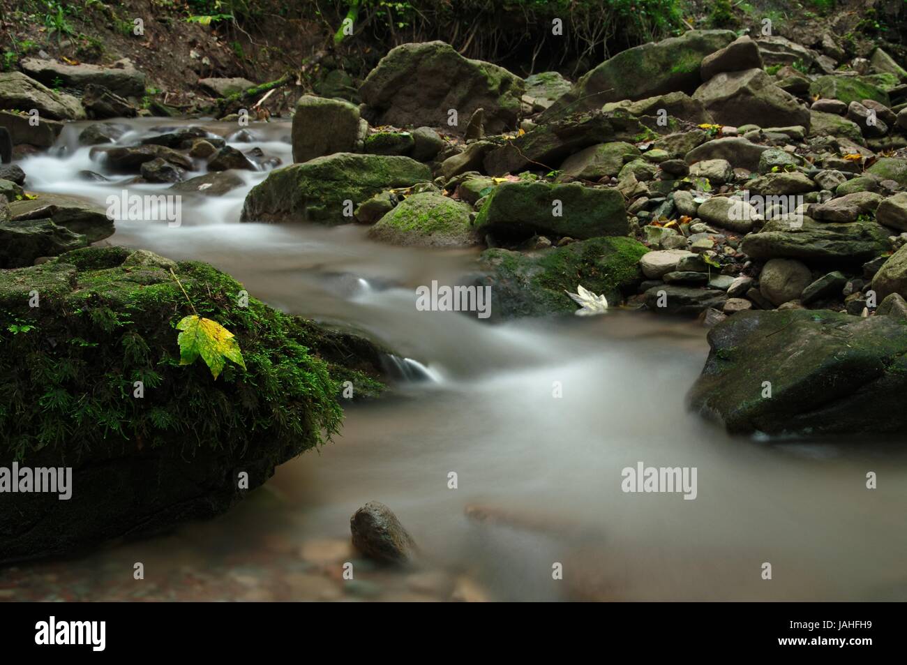 Fluss mit steinen -Fotos und -Bildmaterial in hoher Auflösung – Alamy