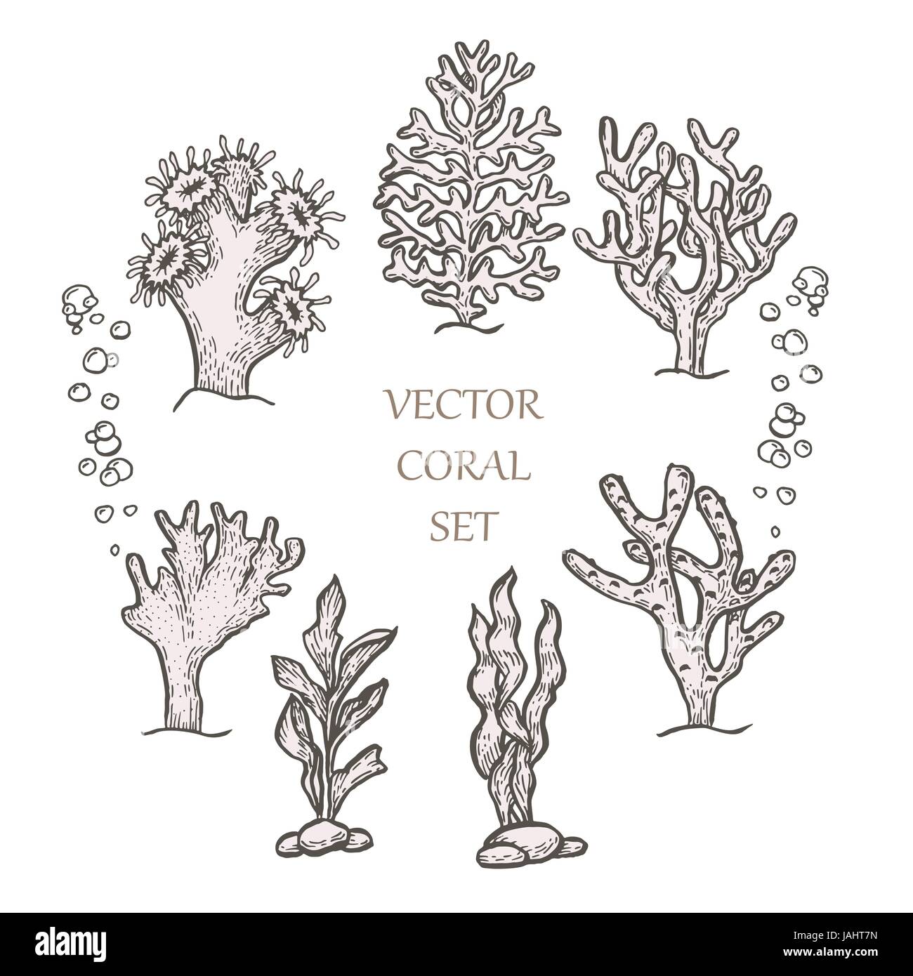 Handgezeichnete aquatische Korallen Doodle-Vektor-Illustration Stock ...