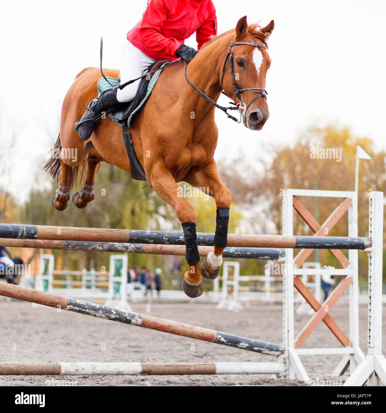 Oxer Jump Stockfotos & Oxer Jump Bilder - Seite 2 - Alamy
