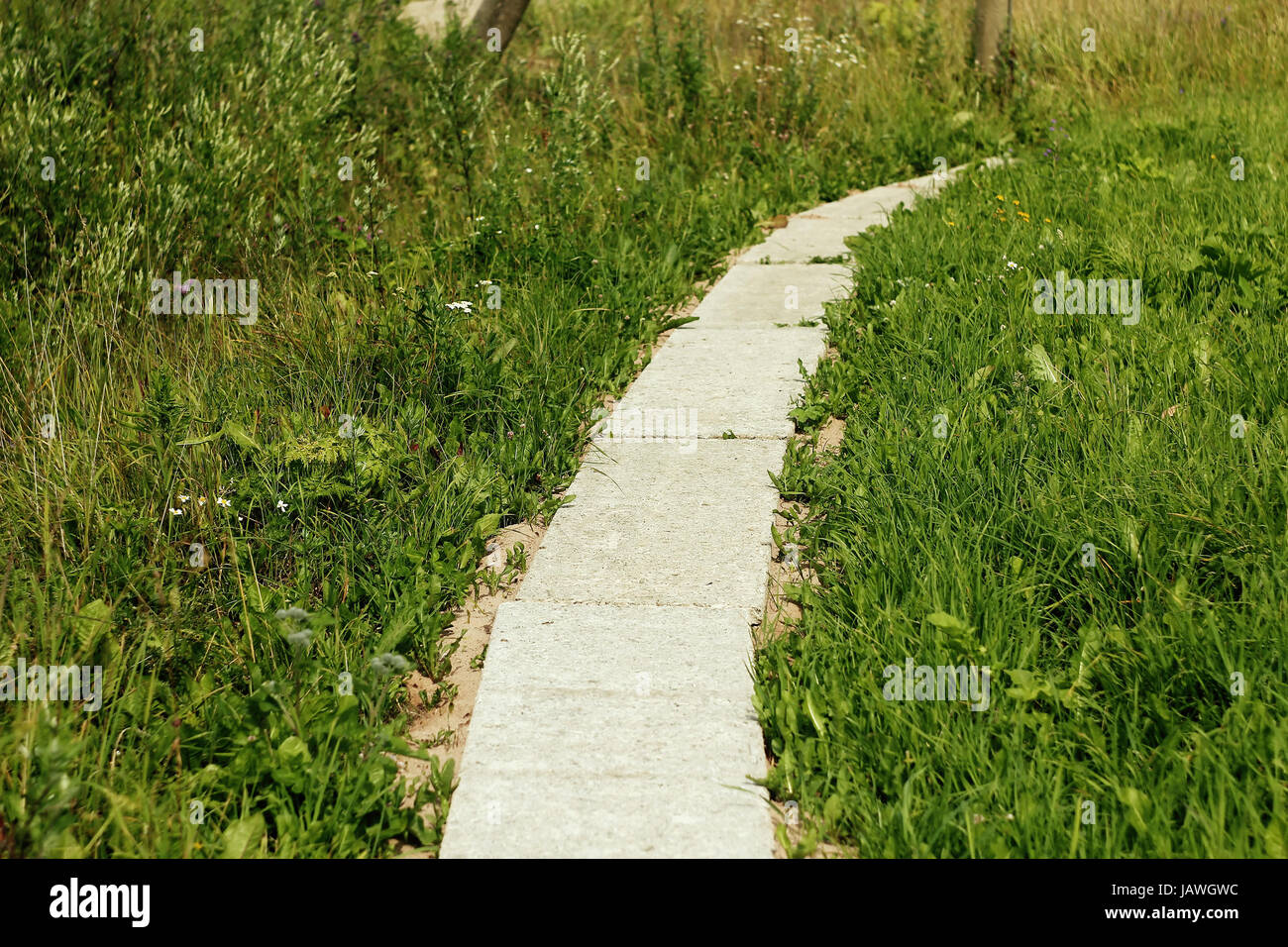 Pfad weg gehen -Fotos und -Bildmaterial in hoher Auflösung – Alamy