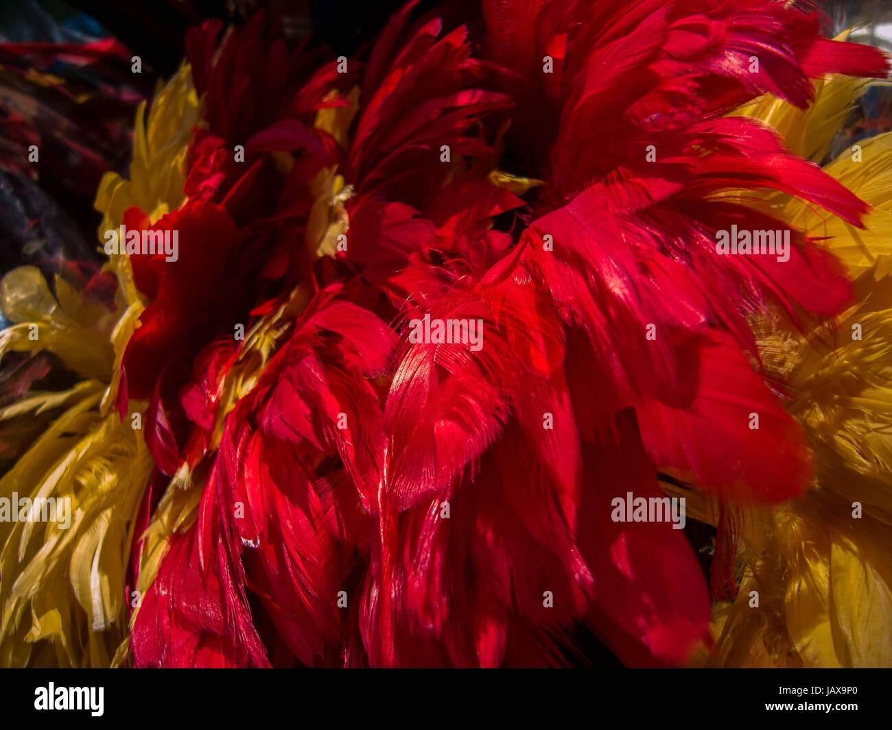 Samba festival coburg -Fotos und -Bildmaterial in hoher Auflösung – Alamy