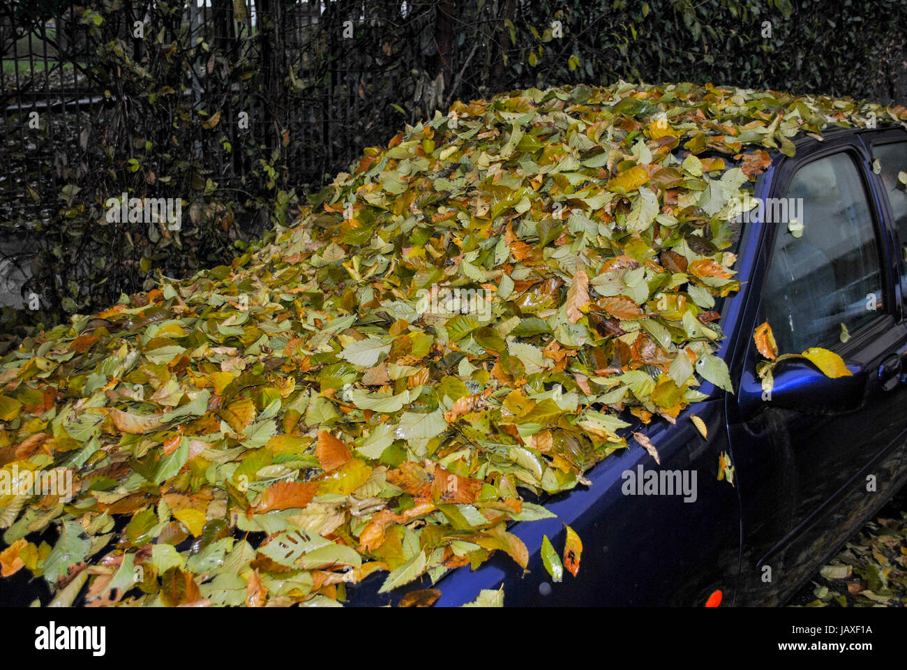 verlassenes Auto vollständig abgedeckt mit Herbstlaub Stockfotografie ...