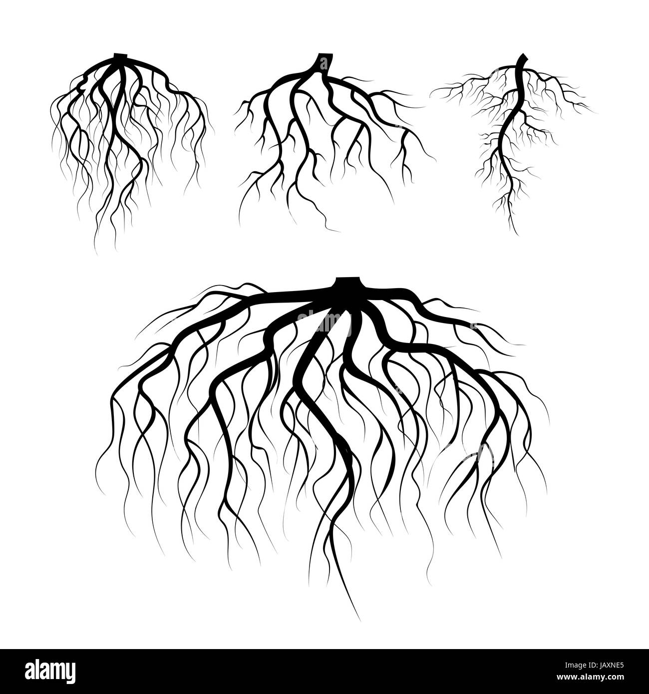 Tree roots underground Stock-Vektorgrafiken kaufen - Alamy