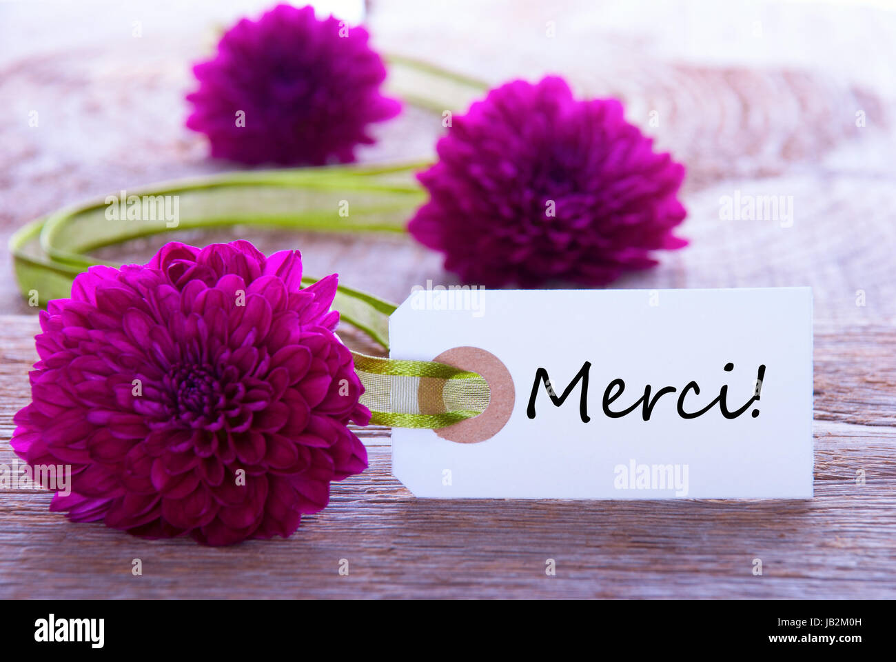 Merci card with flowers -Fotos und -Bildmaterial in hoher Auflösung – Alamy