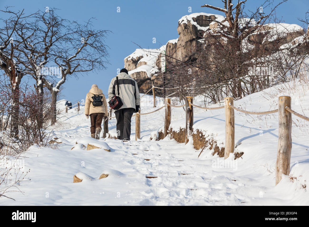 Schnee im harz -Fotos und -Bildmaterial in hoher Auflösung – Alamy