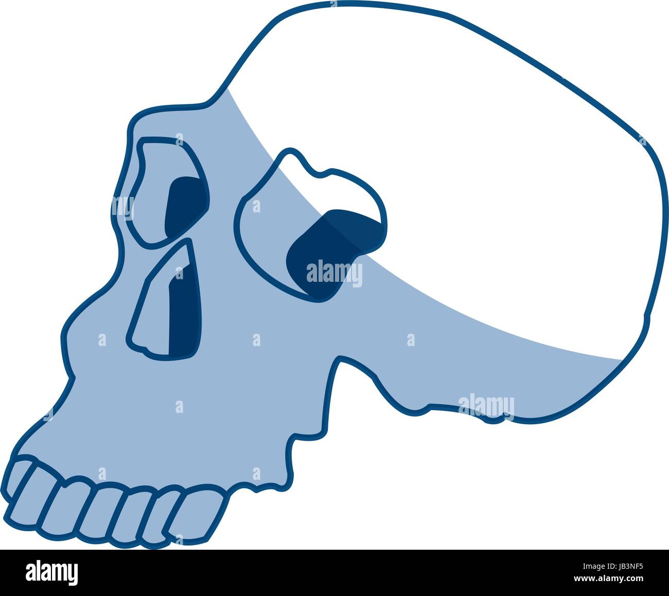Schädel menschlichen Struktur Anatomie Knochen Symbol Stock ...
