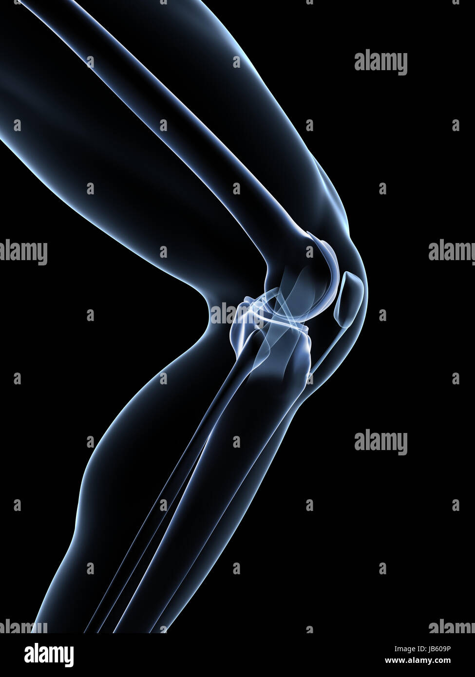 Knie Anatomie Stockfotos & Knie Anatomie Bilder - Alamy