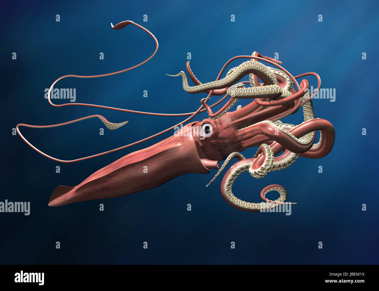 Squid Giant Stockfotos & Squid Giant Bilder - Alamy