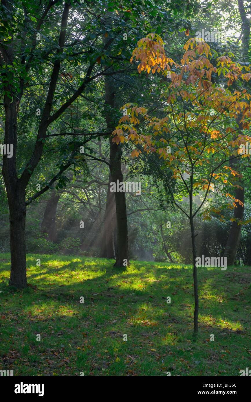 Cannizaro park wimbledon -Fotos und -Bildmaterial in hoher Auflösung ...