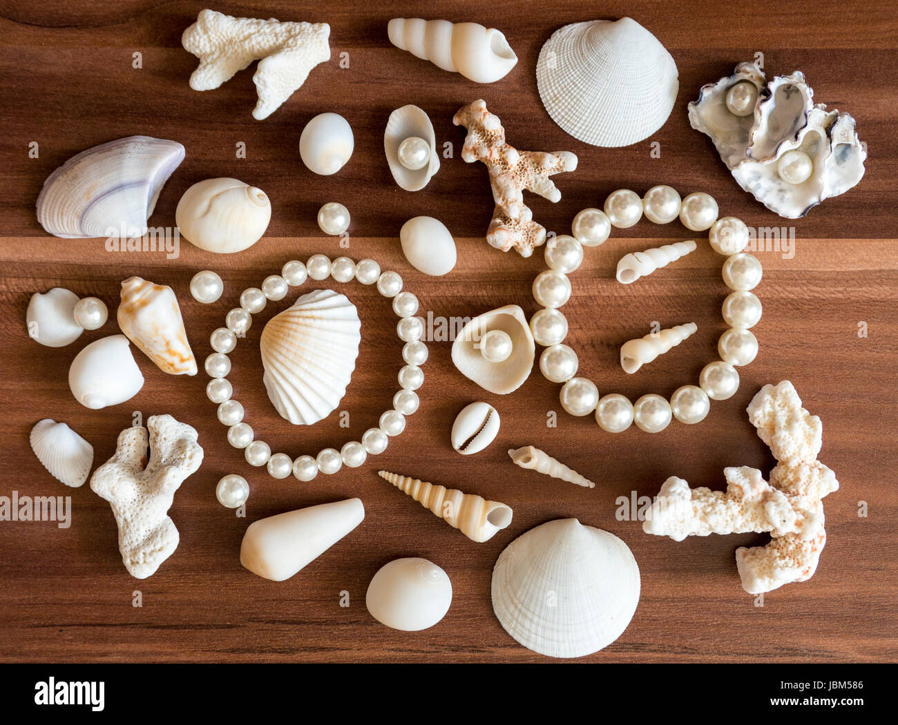 Mussel with pearls -Fotos und -Bildmaterial in hoher Auflösung – Alamy