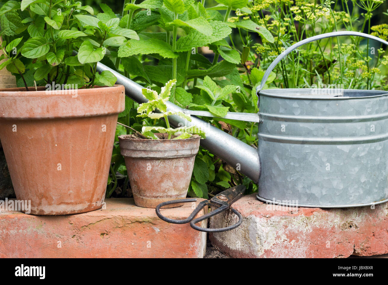 Mein zinkbett -Fotos und -Bildmaterial in hoher Auflösung – Alamy