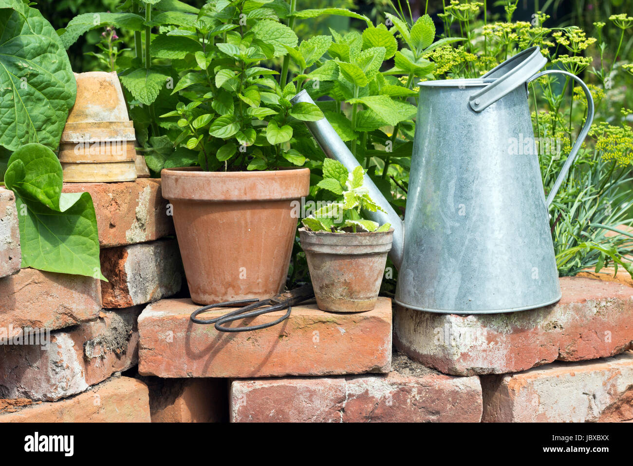 Mein zinkbett -Fotos und -Bildmaterial in hoher Auflösung – Alamy