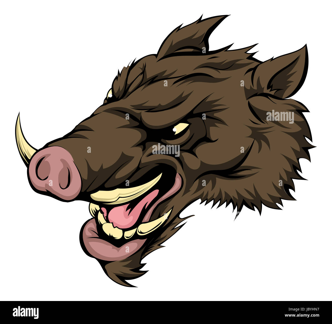 Illustration angry wild pig boar -Fotos und -Bildmaterial in hoher ...
