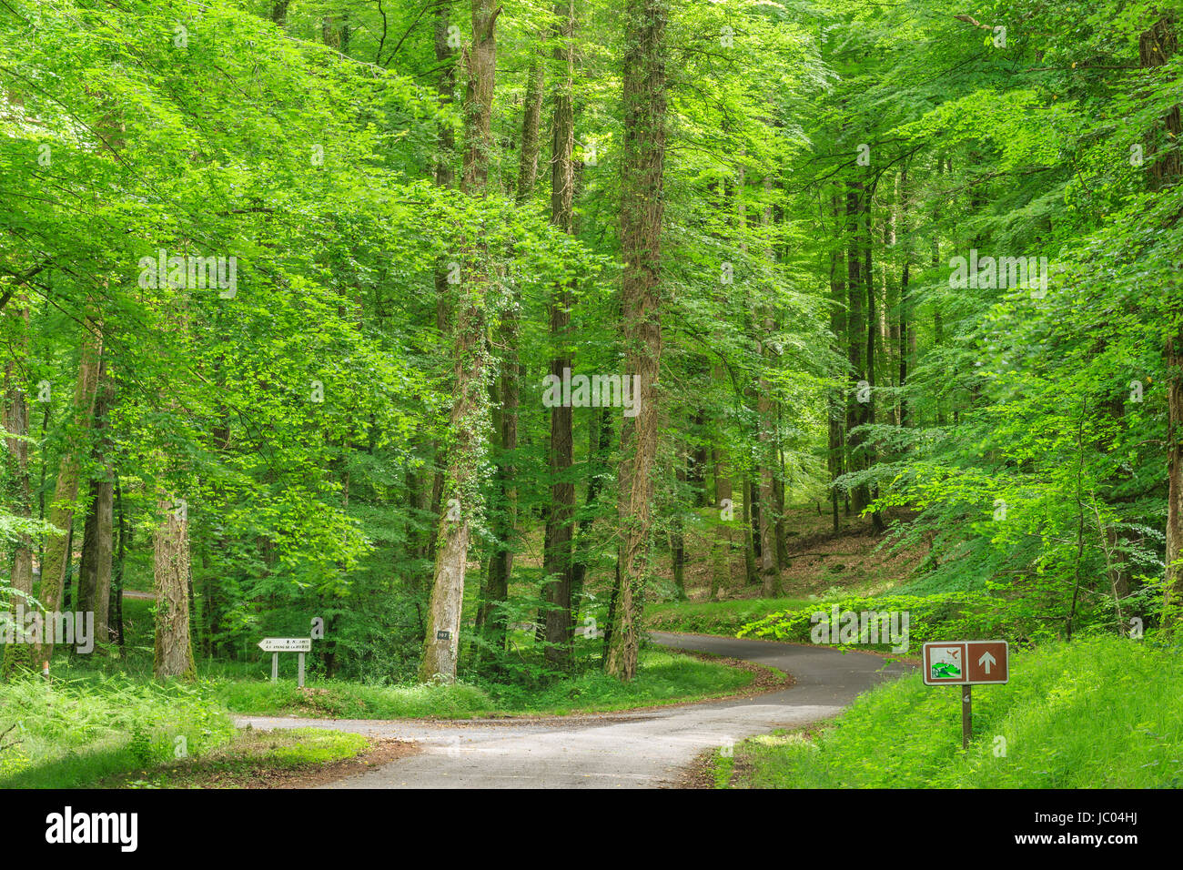 Frankreich, Orne (61), Parc Régional Naturel du Perche, Région du ...