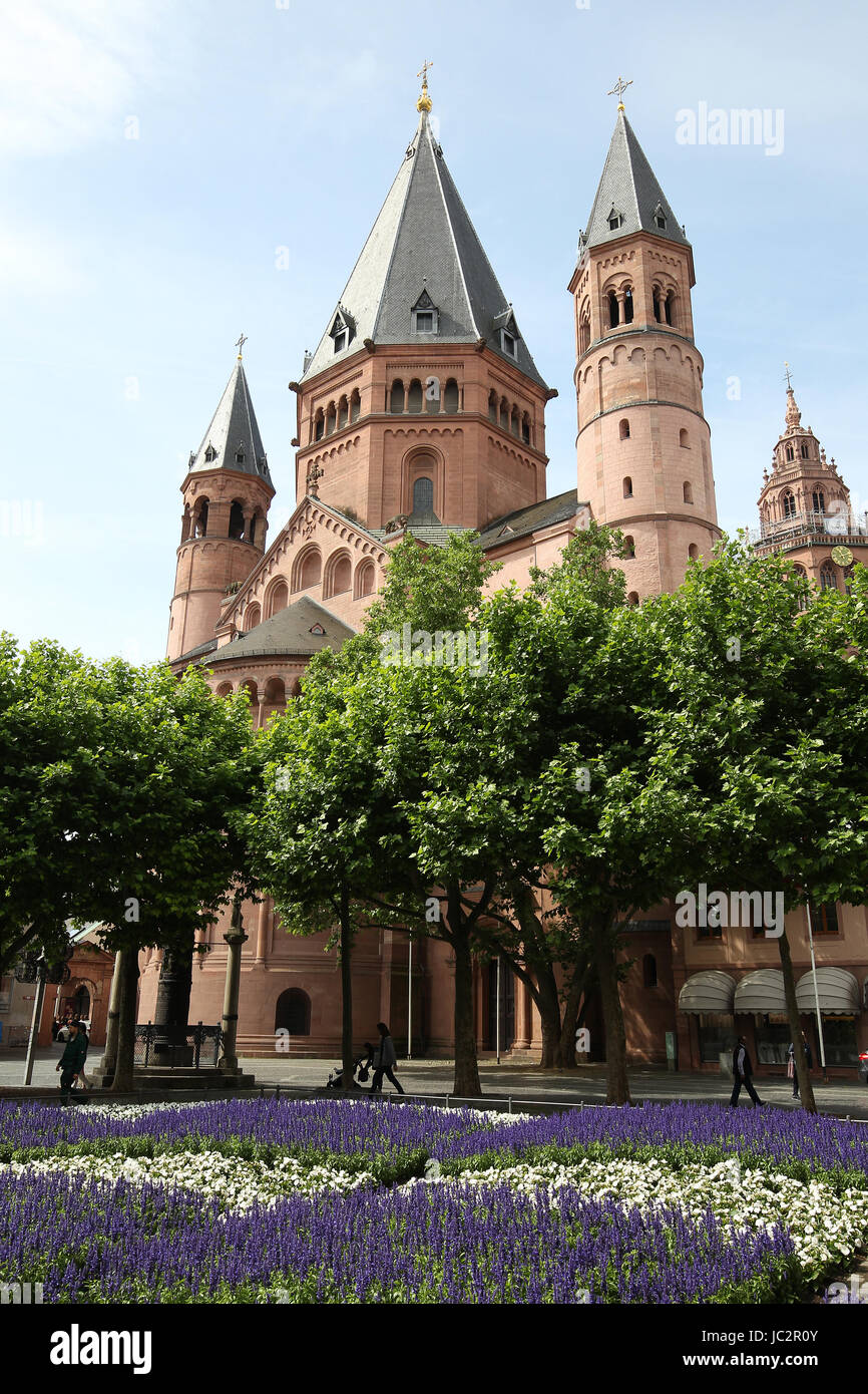 Dom in mainz -Fotos und -Bildmaterial in hoher Auflösung – Alamy