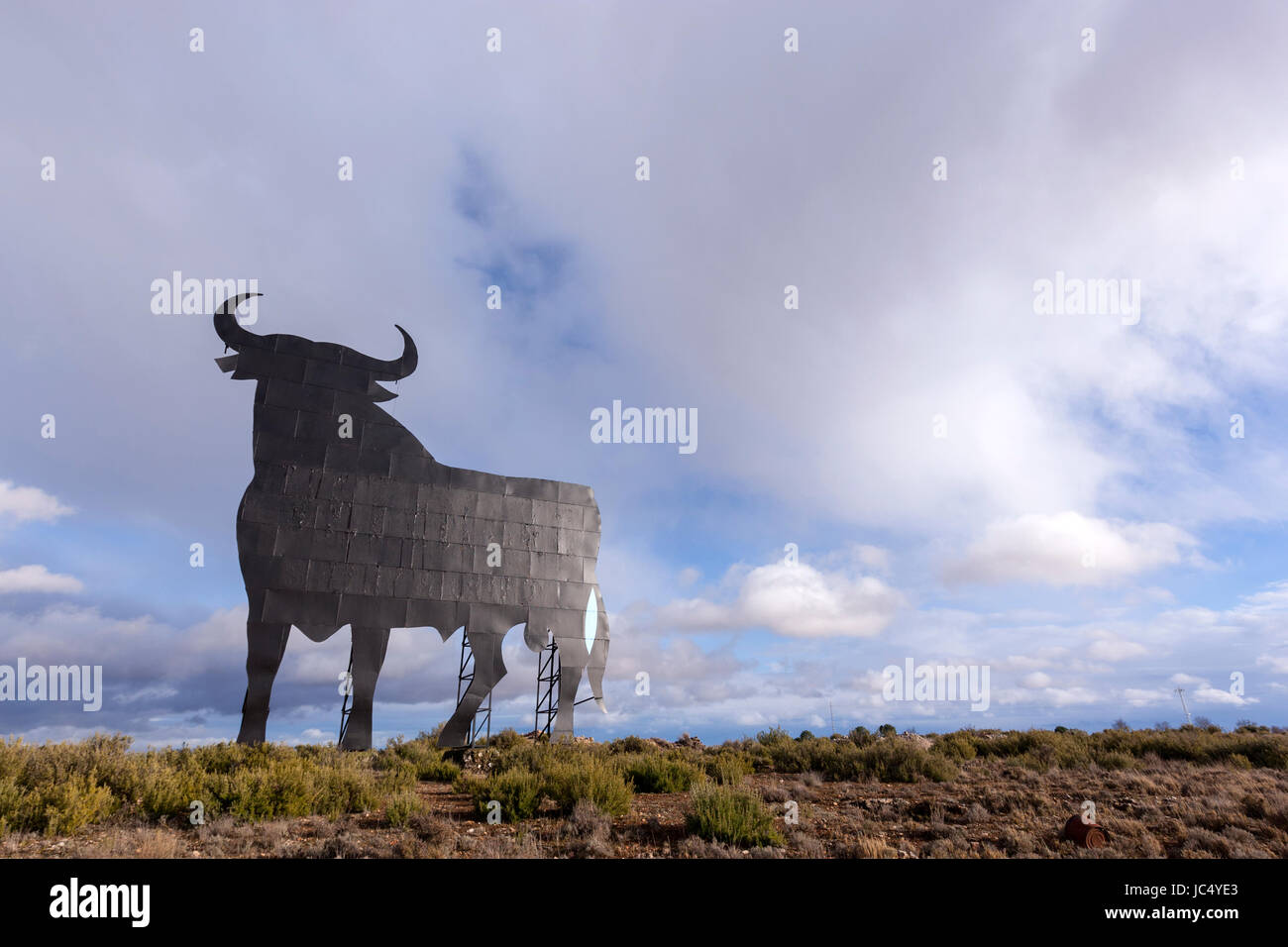 Osborne Stier Stockfotos und -bilder Kaufen - Alamy