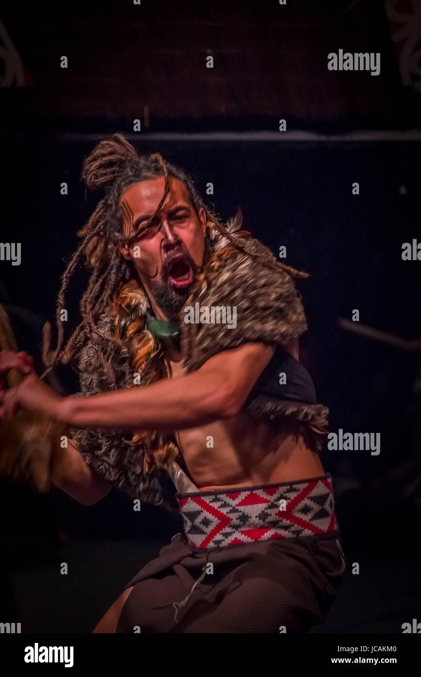 Maori marae mann -Fotos und -Bildmaterial in hoher Auflösung – Alamy