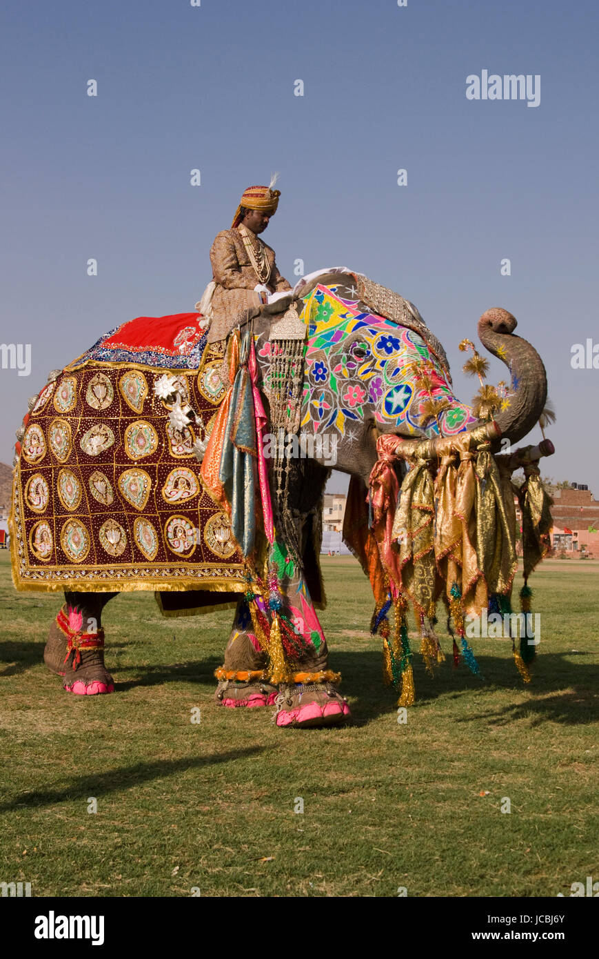Painted Elephant Mahout Rajasthan Jaipur India Stockfotos und -bilder ...