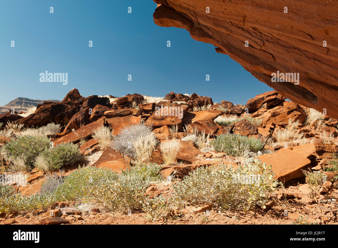 Felsgravuren, Huab River Valley, Torra Conservancy, Damaraland, Namibia ...