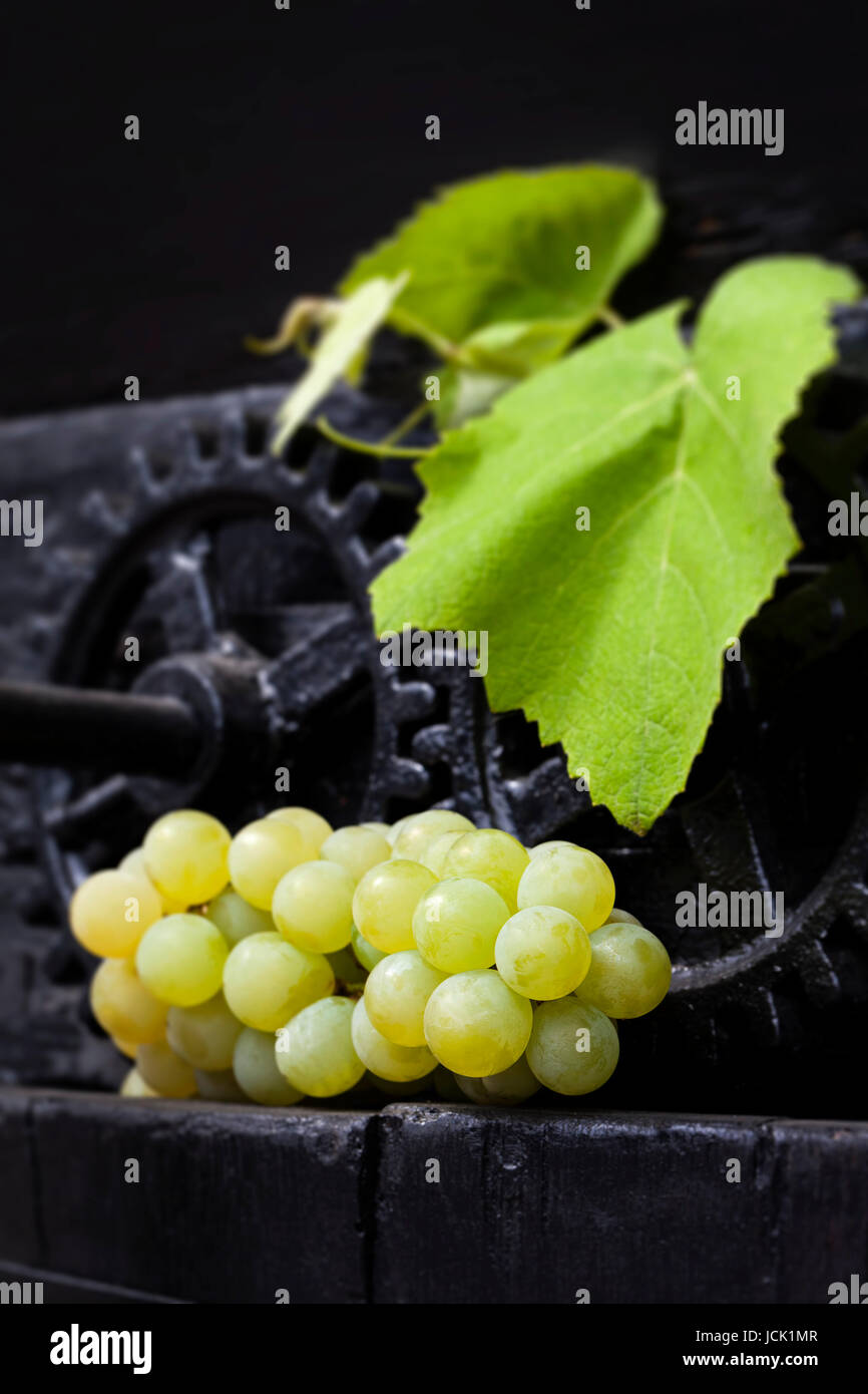 Maschine zum pressen und herstellen von wein -Fotos und -Bildmaterial ...